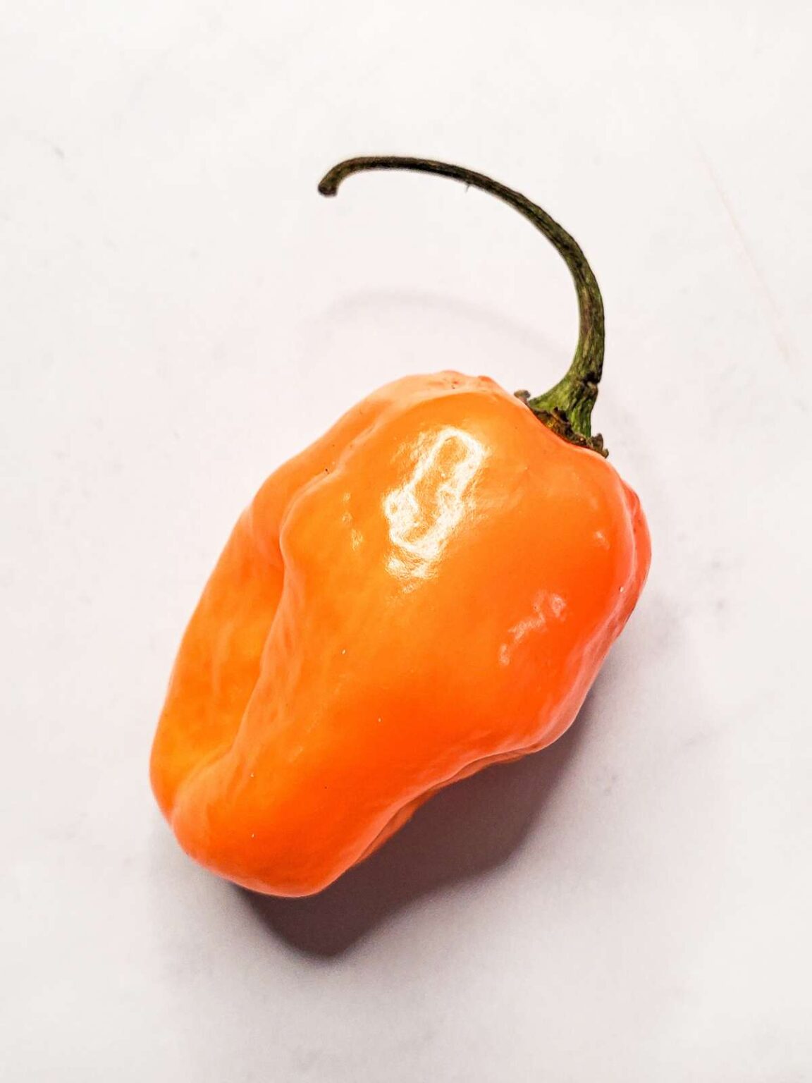 The Perfect Spicy Colombian Sauce (Ají Picante) for Empanadas | Cocina ...
