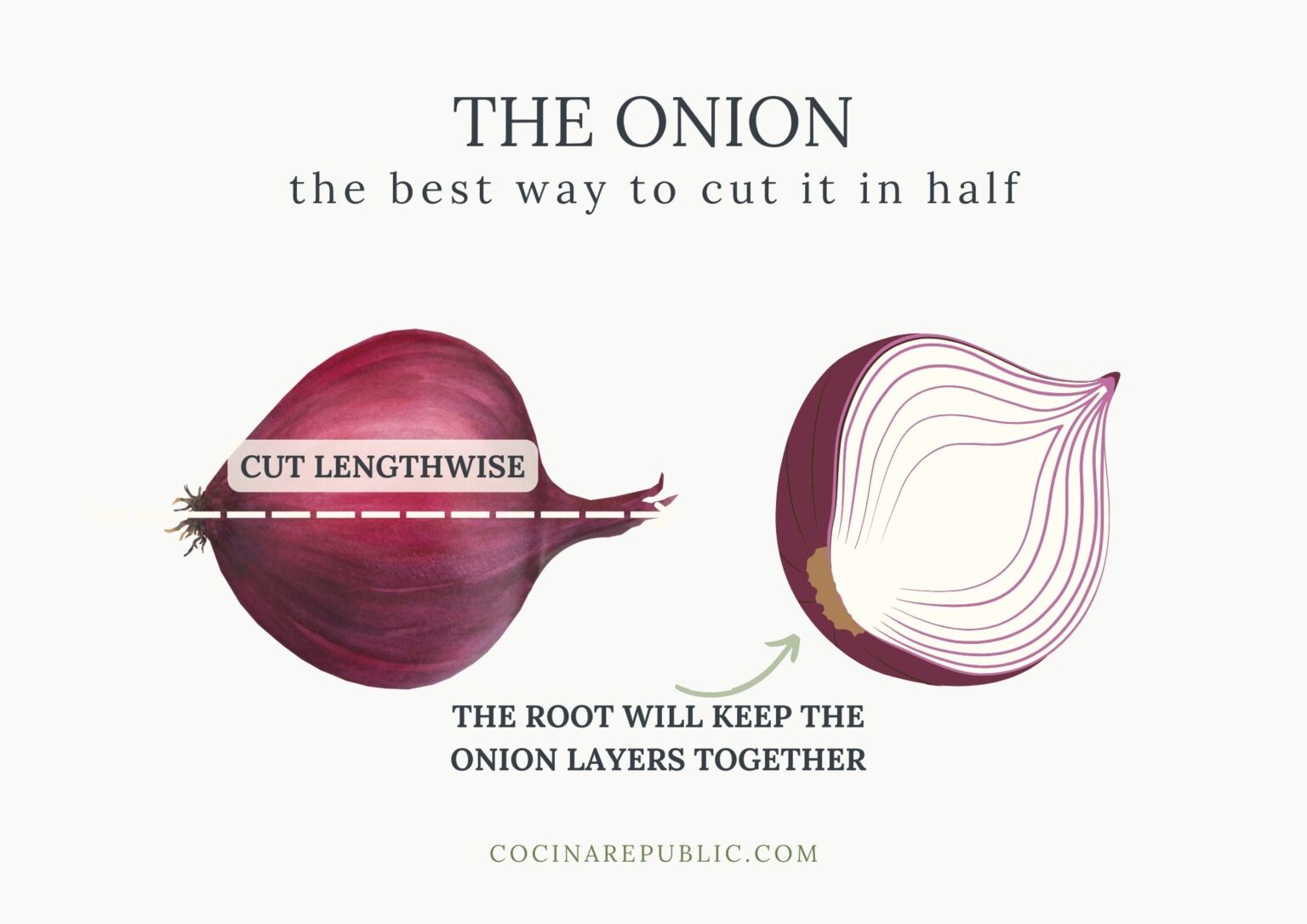 How To Cut Onions For Fajitas (Step-by-Step) | Cocina Republic