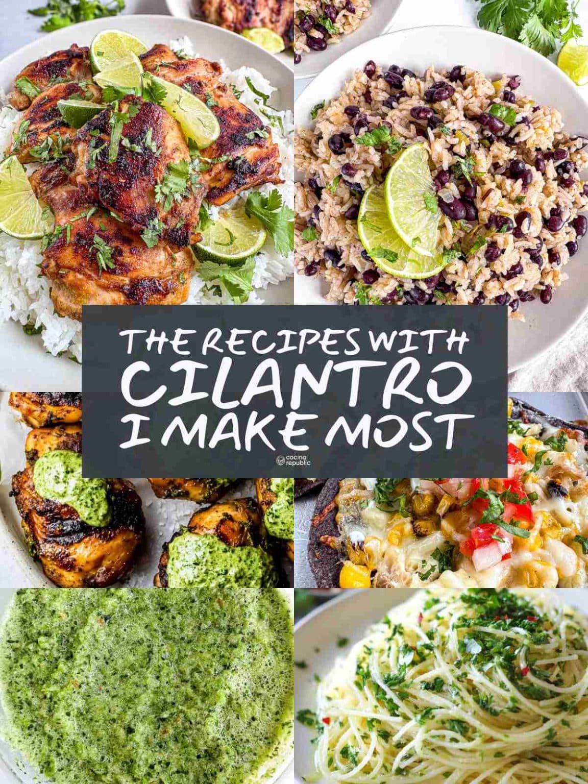 The Recipes With Cilantro I Make Most | Cocina Republic